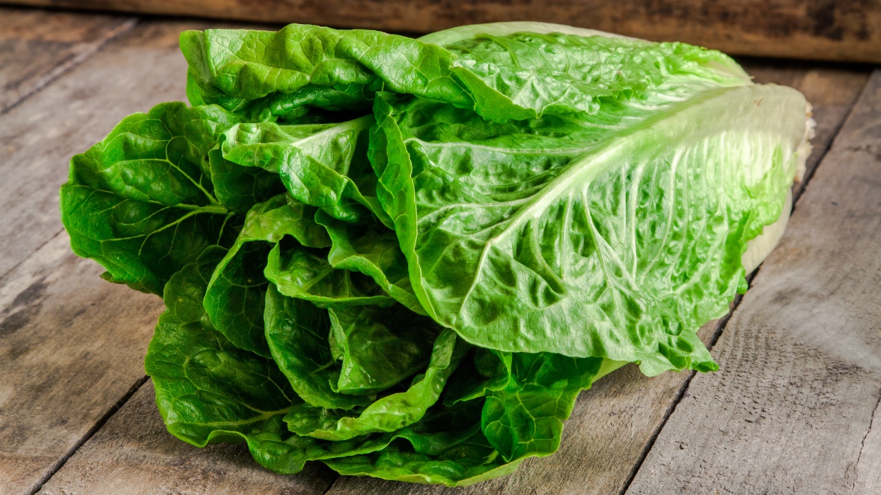 Cuáles Son los Alimentos Constructores