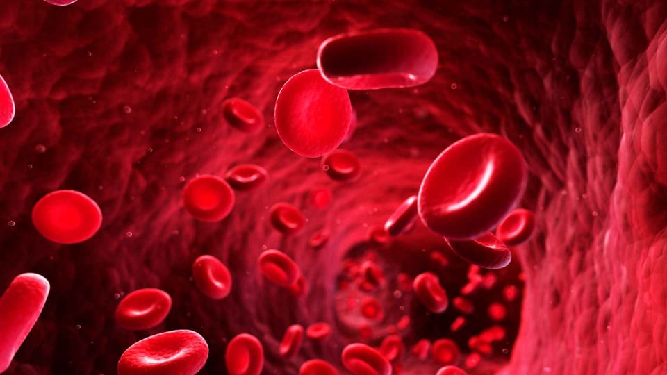 HCM Valores Normales: Qué Debes Saber