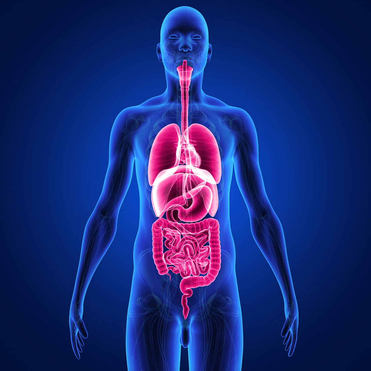 Cáncer de Esófago: Causas, síntomas y tratamiento