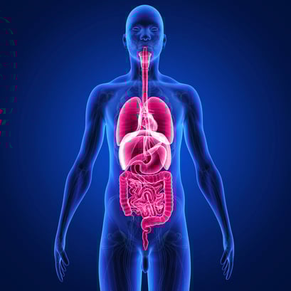 Cáncer de Esófago: Causas, síntomas y tratamiento