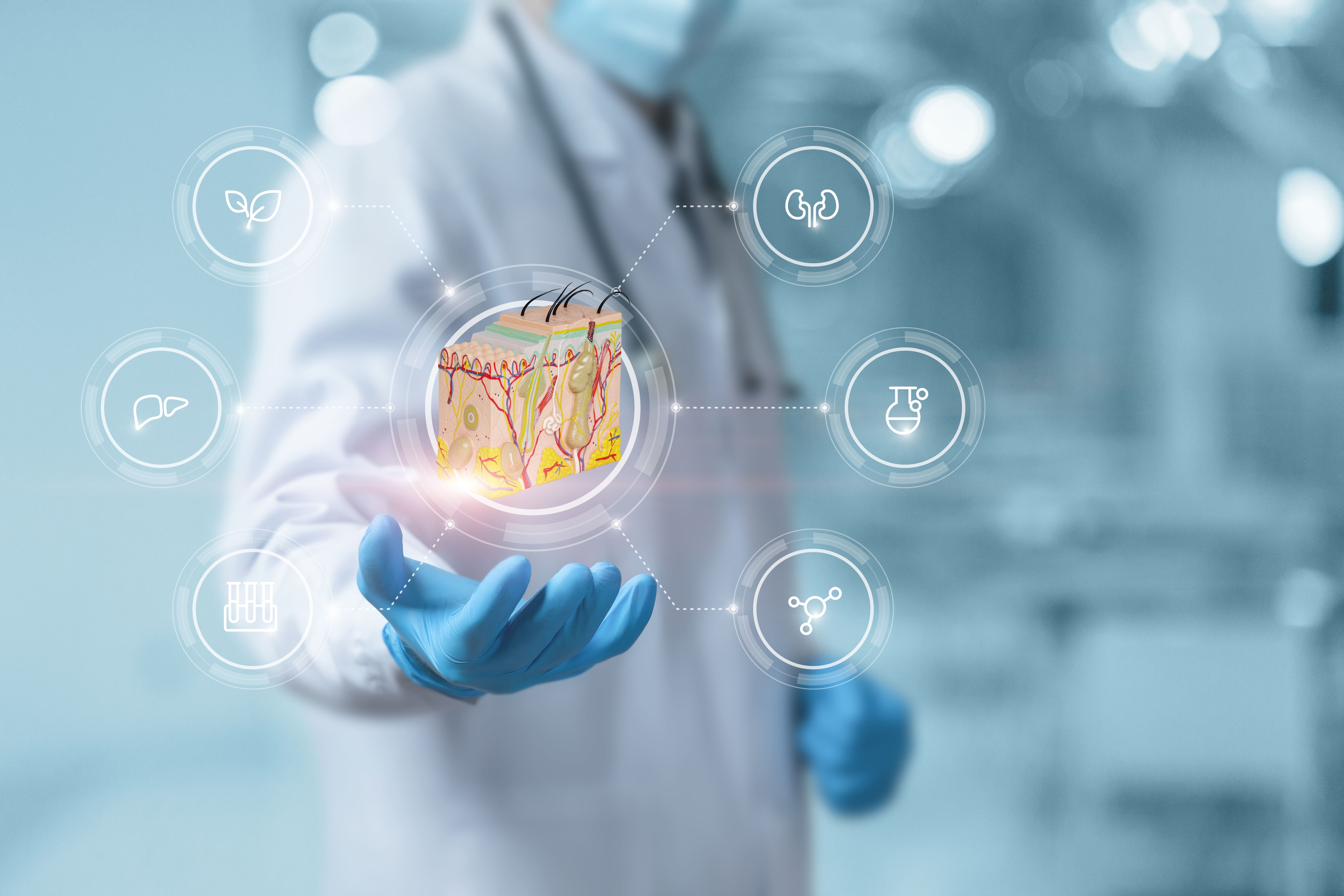 Funciones de la Piel: Por Qué es Tan Importante